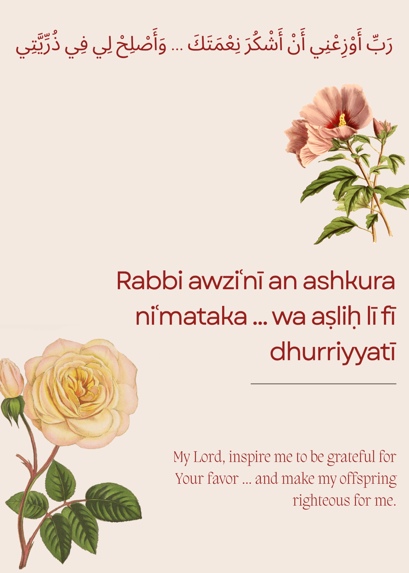 Islamic Printable Dua Cards & Quran Wall Art | Prayers Treasure